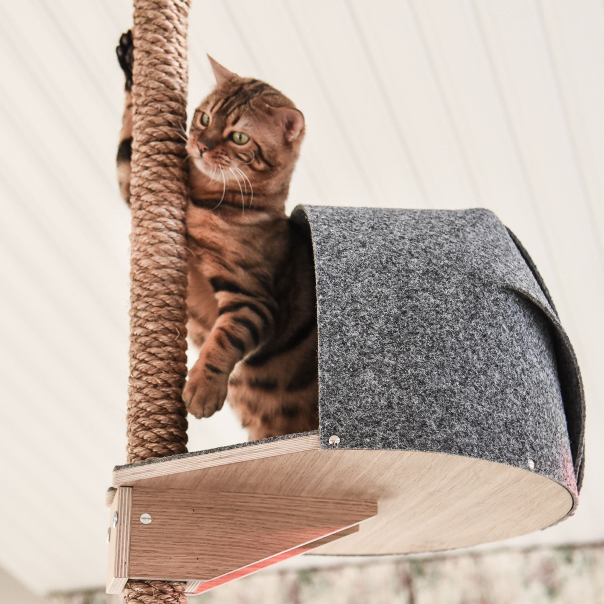 Cat climbing trees, cat scratching trees, cat towers, scratching posts ...