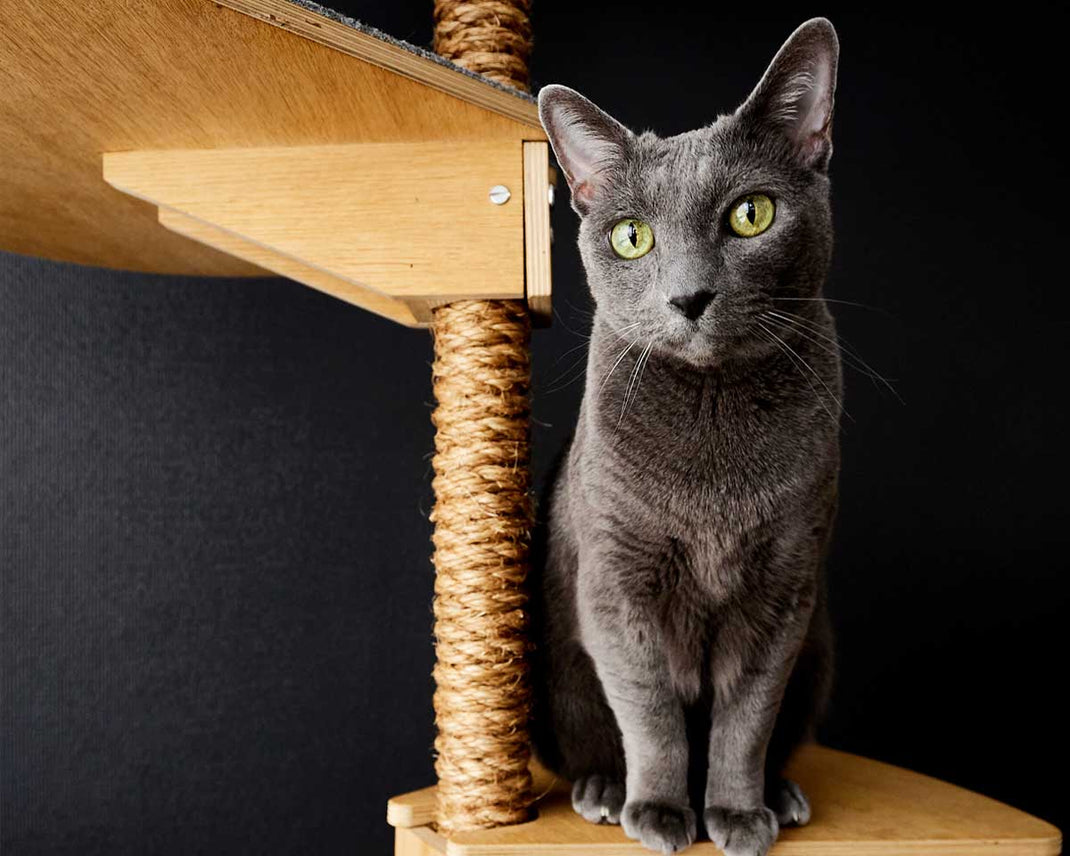 Sturdy cat climbing and scratching tree – Kissan Ilo Oy