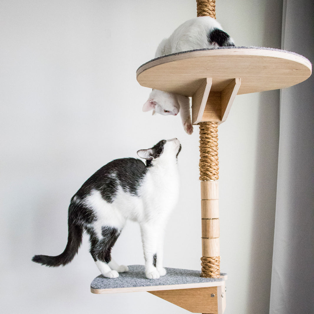 Cat climbing trees, cat scratching trees, cat towers, scratching posts ...