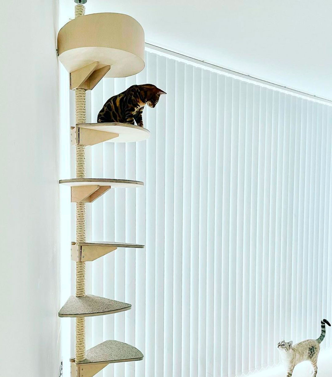 Sturdy cat climbing and scratching tree – Kissan Ilo Oy